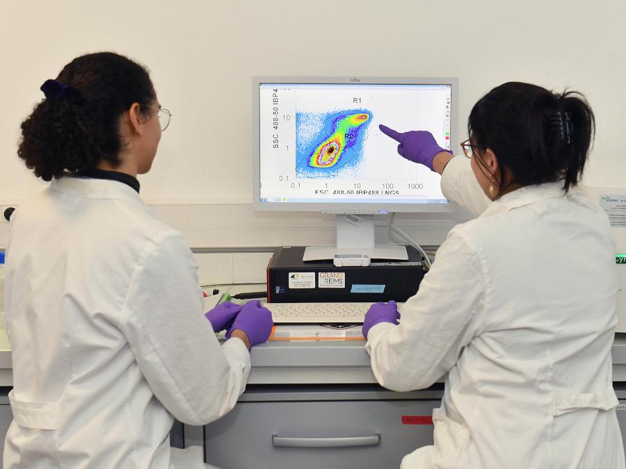 Research is central to the missions of AgroParisTech | AgroParisTech