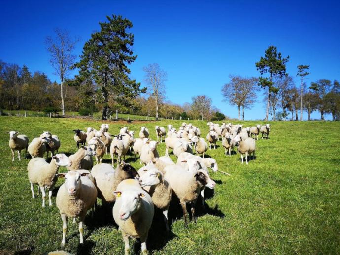 Journée Portes Ouvertes 2025 de la ferme de Grignon | AgroParisTech