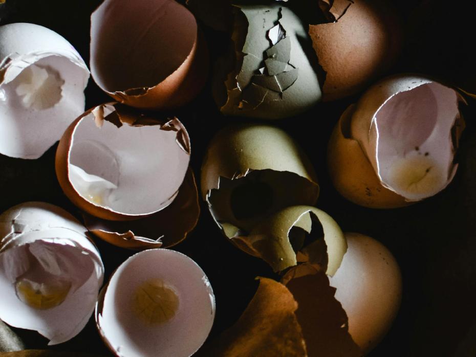 The Startup Circul’Egg Inaugurates its First Industrial Site in ...